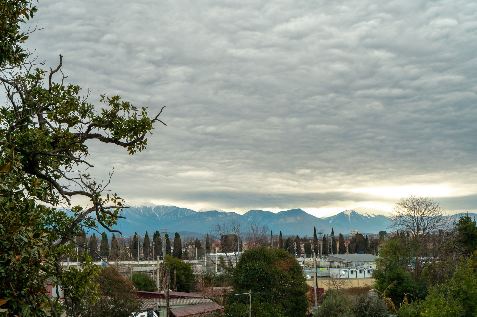 Грейс Эдем Номера и цены